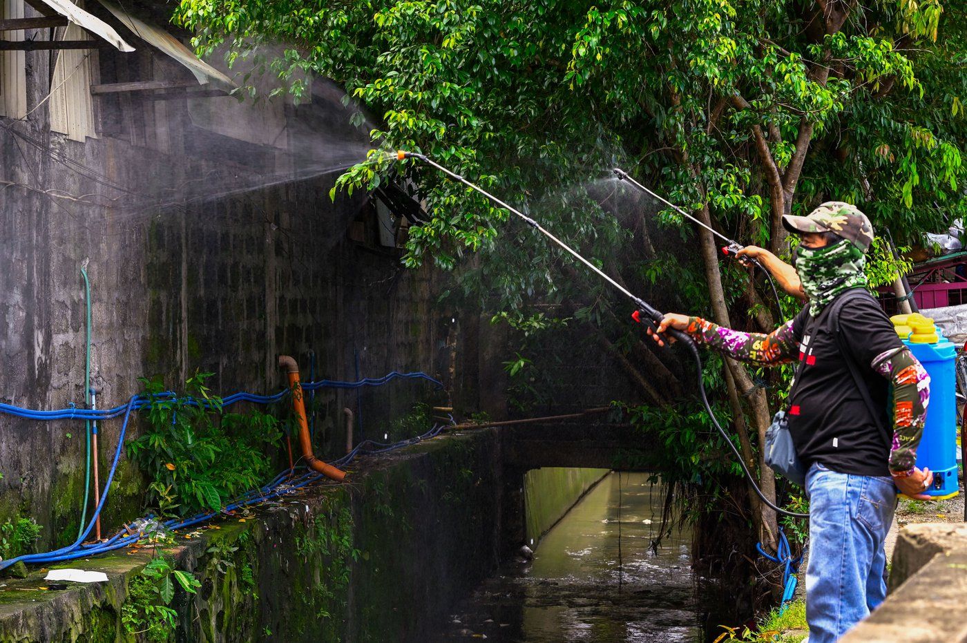 DOH appreciates local interventions to combat dengue but reiterates to ...