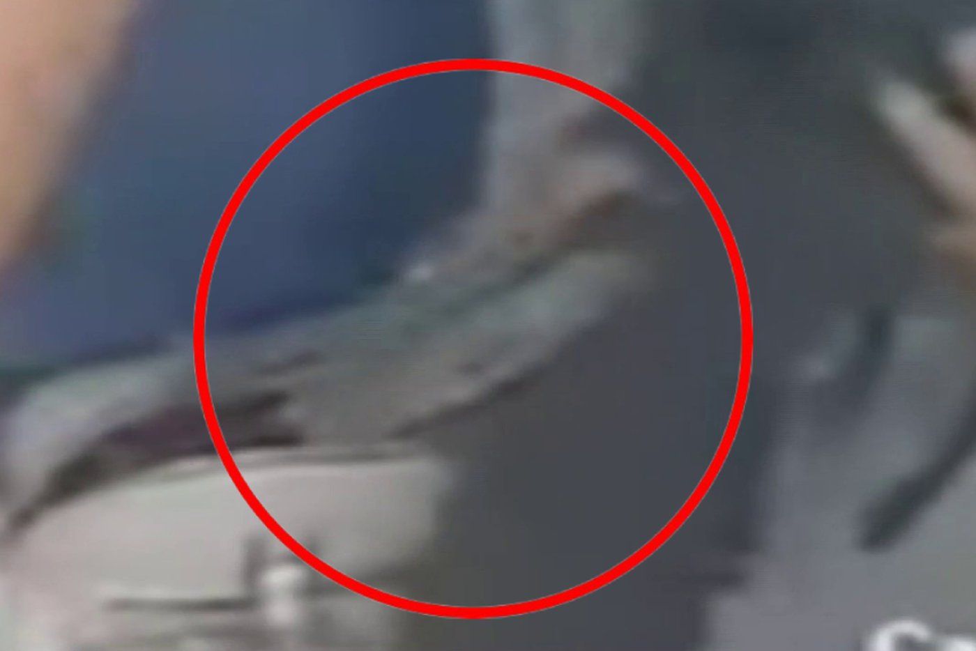 Babae nabiktima ng salisi gang sa QC mall | ABS-CBN News