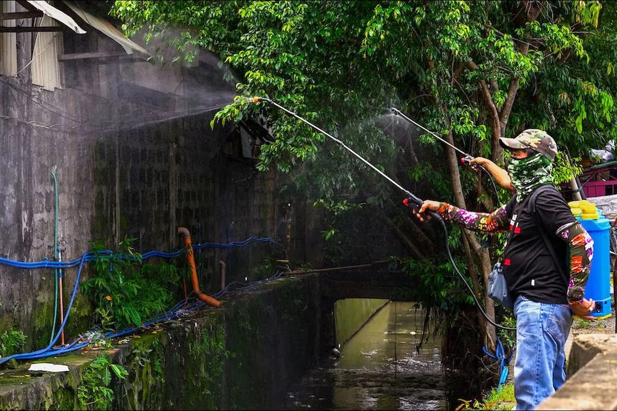 Winning diskarte para iwas-dengue | ABS-CBN News