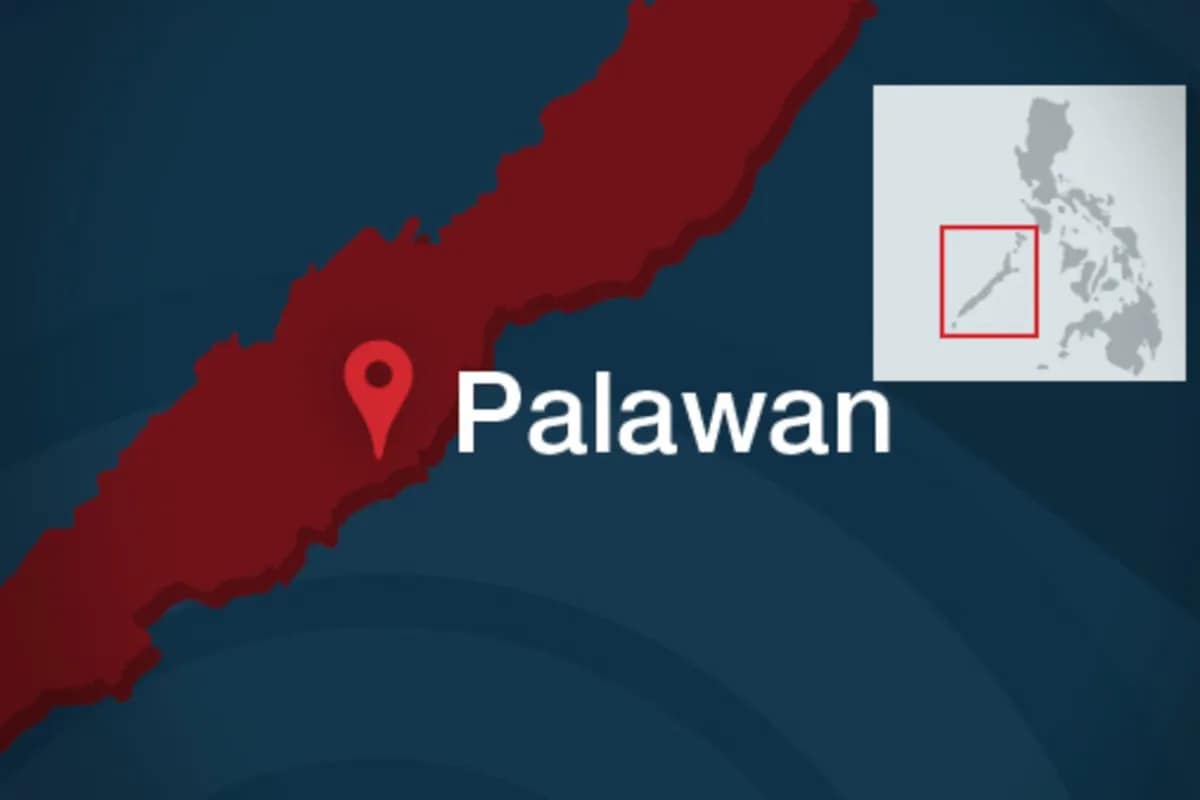 'Delulu': PH lawmaker scoffs at claims that Palawan was part of China ...