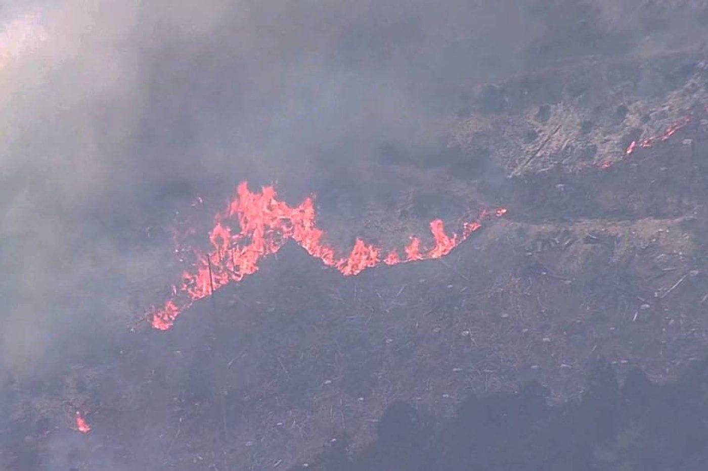 Japan's worst wildfire in half a century spreads | ABS-CBN News