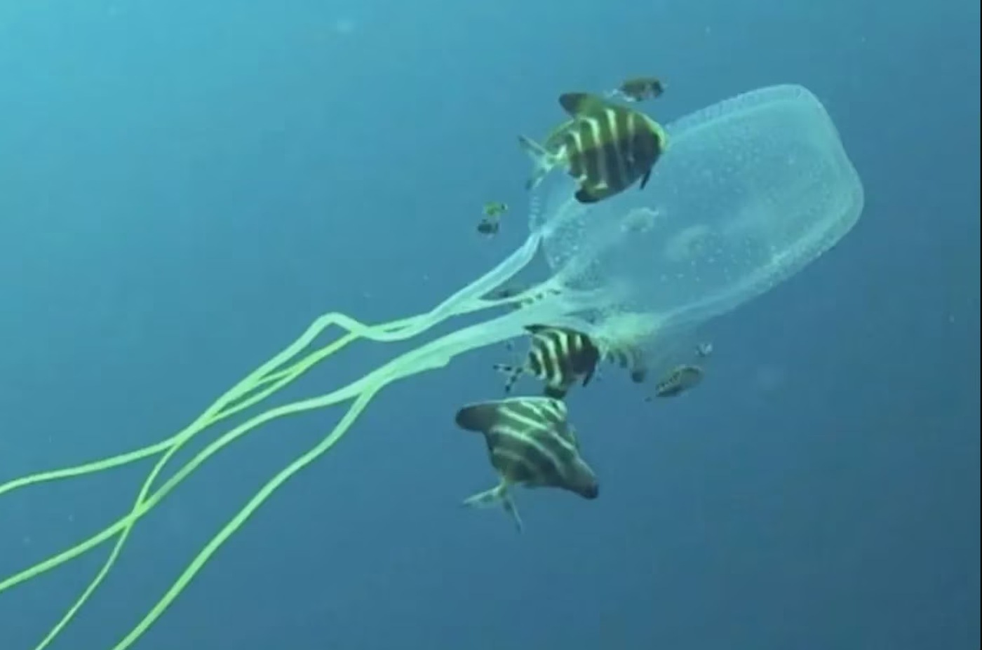 Closure of resorts sought after alleged children's death due to ...