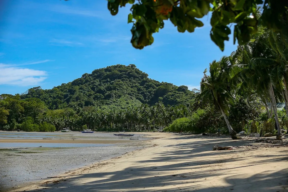 Simbahang Katolika ikinalugod ang 50-taong mining moratorium sa Palawan ... Simbahang Katolika ikinalugod ang 50-taong mining moratorium sa Palawan ...