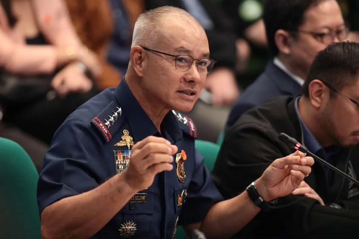 Albayalde hopes to get gov't protection vs ICC | ABS-CBN News