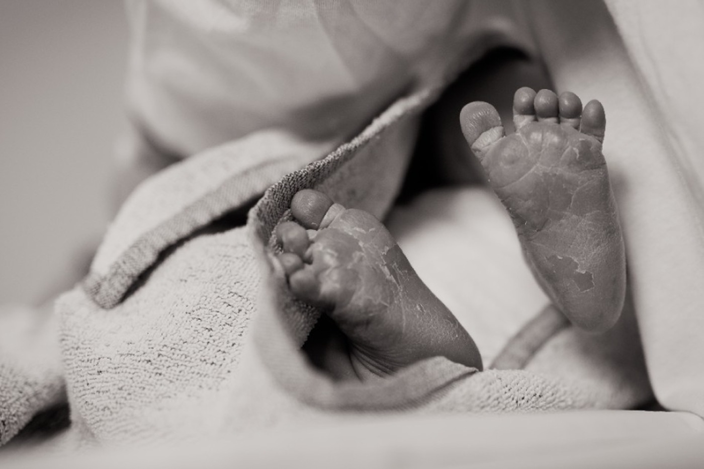 Australian IVF clinic admits embryo mix-up | ABS-CBN News