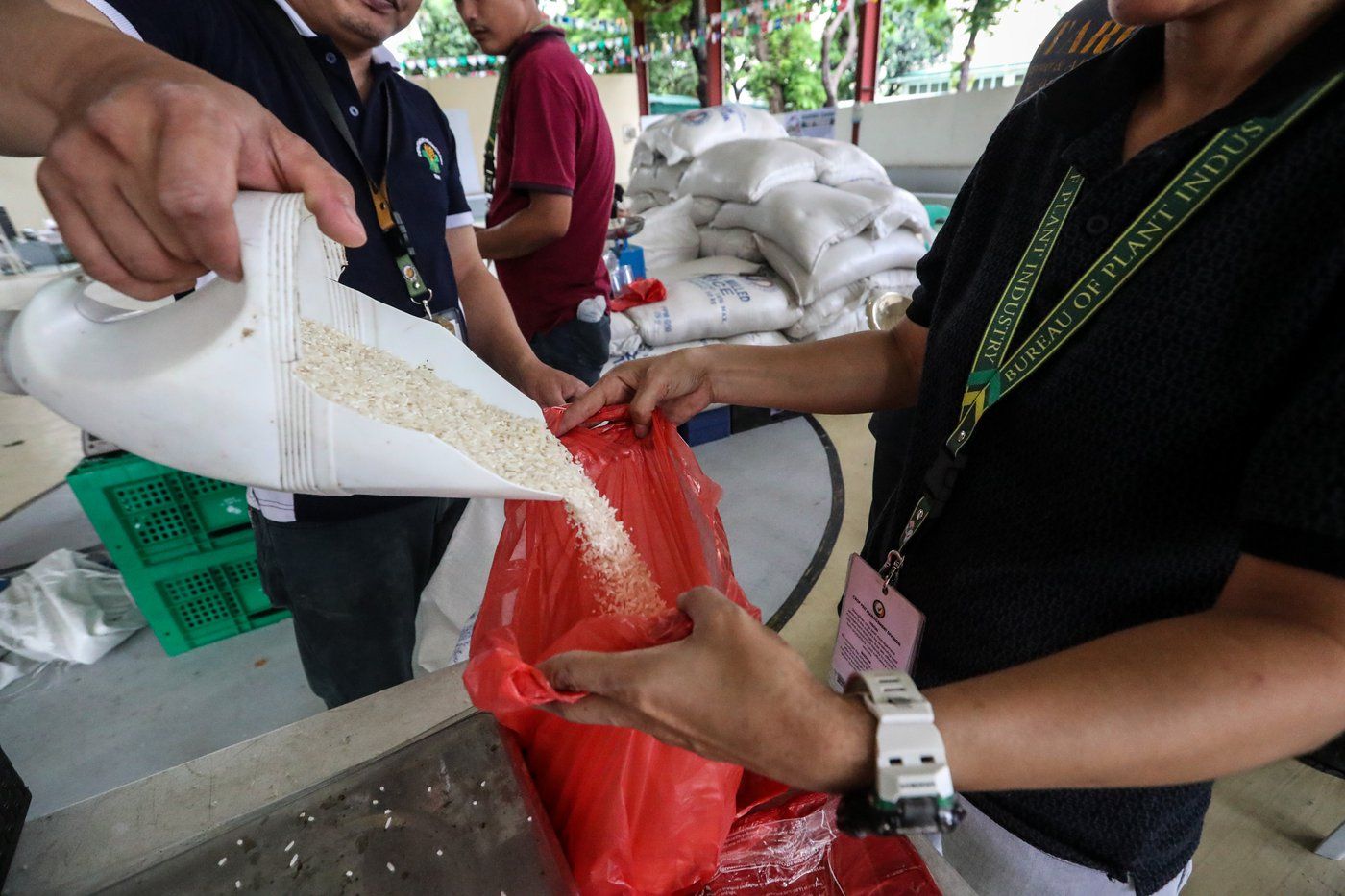 Senior citizens flock to Kadiwa stores as P20 per kilo rice program ...