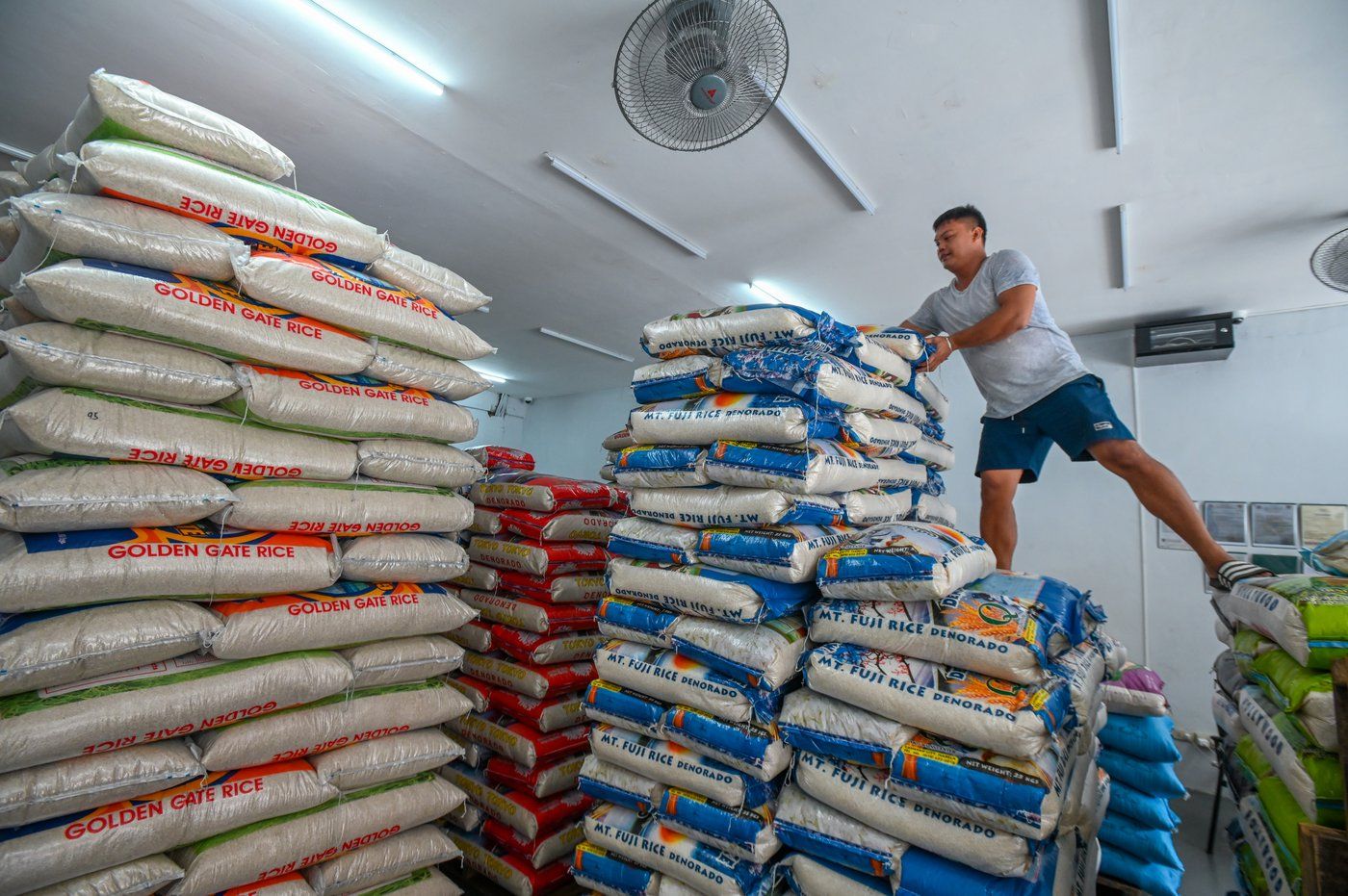 DA probes traders in 32 Luzon areas for buying rice from farmers below ...