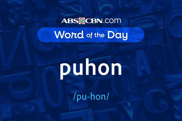 Word of the Day for May 26, 2025: puhon | ABS-CBN Metro.Style