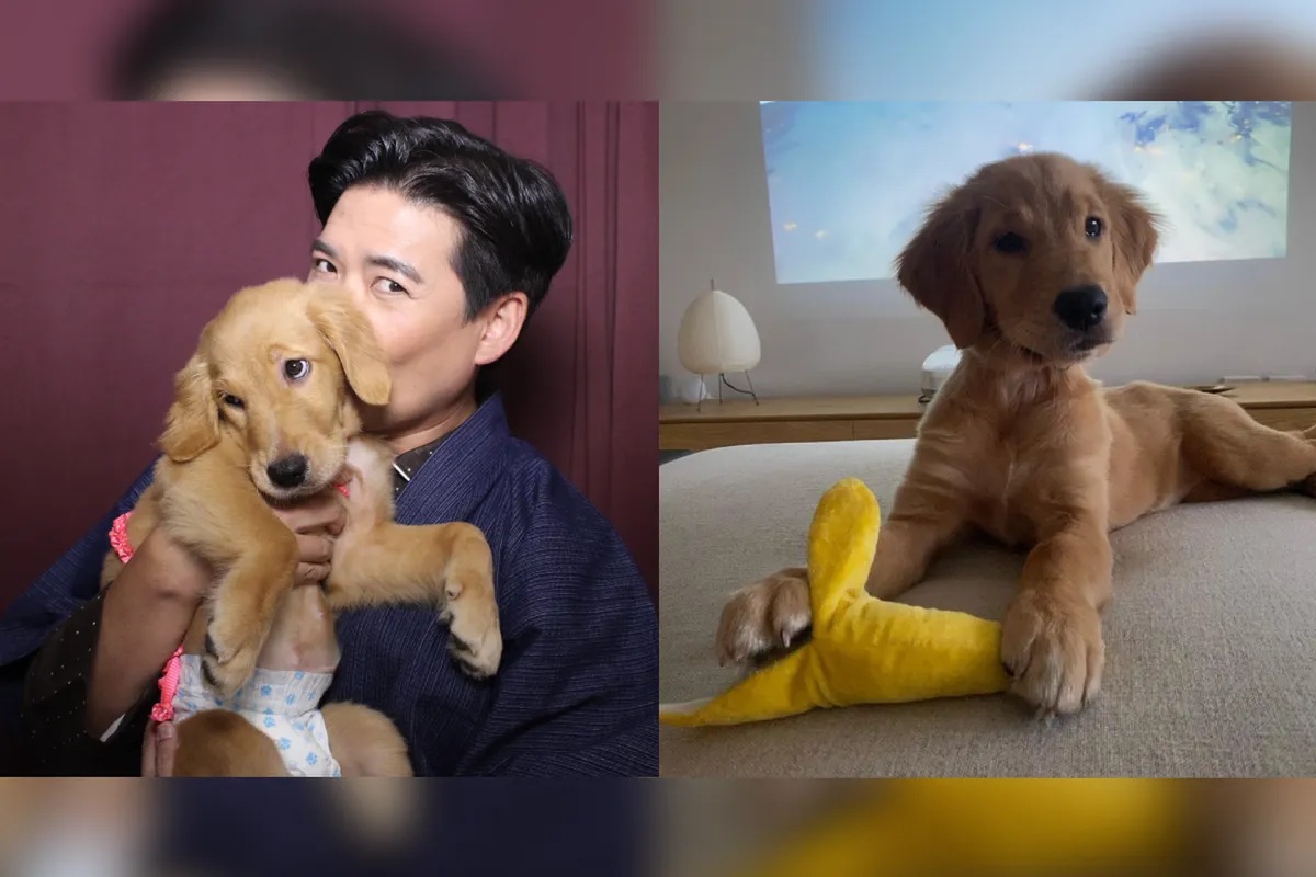 Tim Yap introduces his new pet puppy: ‘Stella is the most affectionate ...