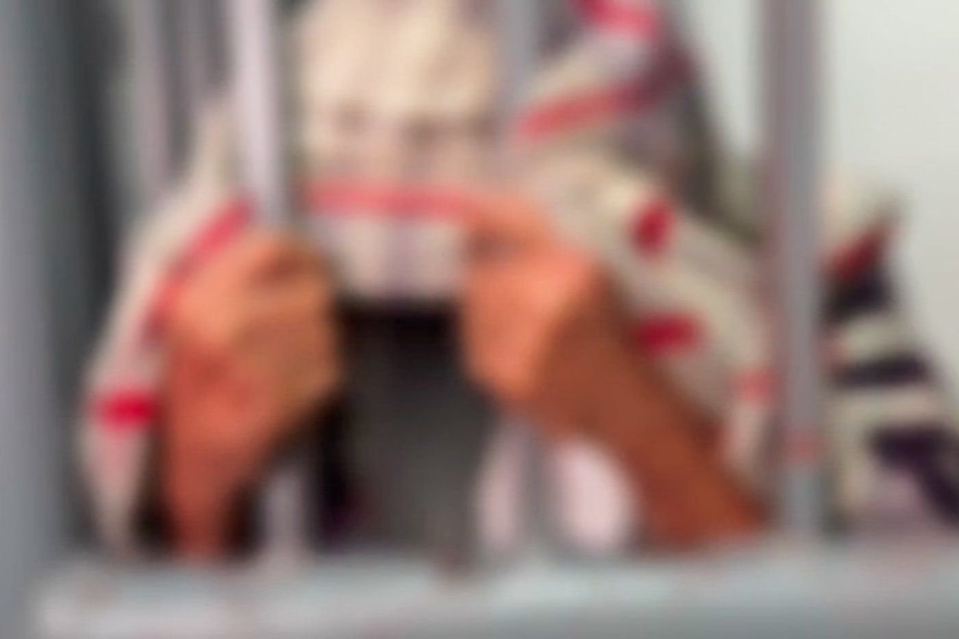 Senior citizen arestado matapos ireklamo ng panghahalay ng menor de edad | ABS-CBN News