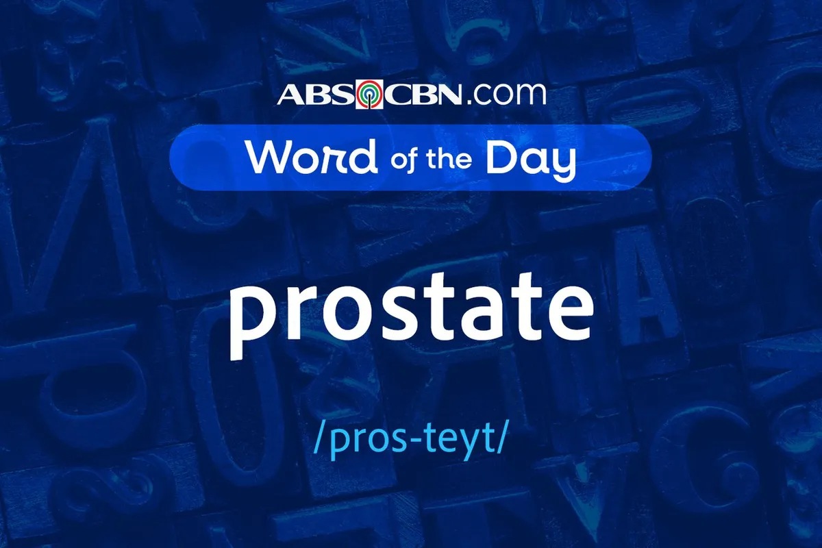 Word of the Day for June 9, 2025: prostate | ABS-CBN Metro.Style