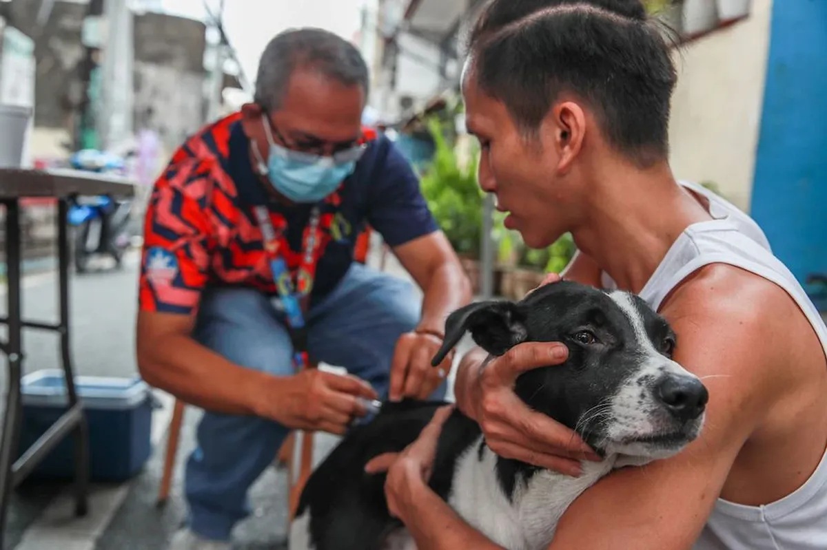 TV PATROL: Kamalayan ng mga Pinoy sa rabies tumaas matapos ang pagpanaw ...