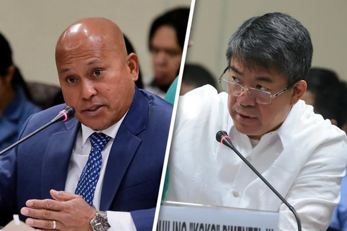 What senator-judges said on return of Sara impeachment complaint to ...