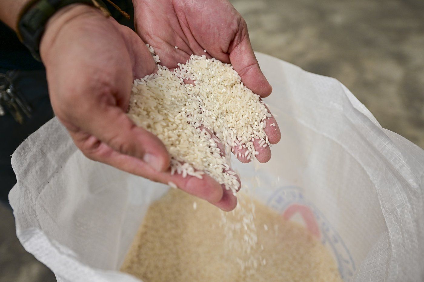 P20 per kilo rice for minimum wage earners launched | ABS-CBN News