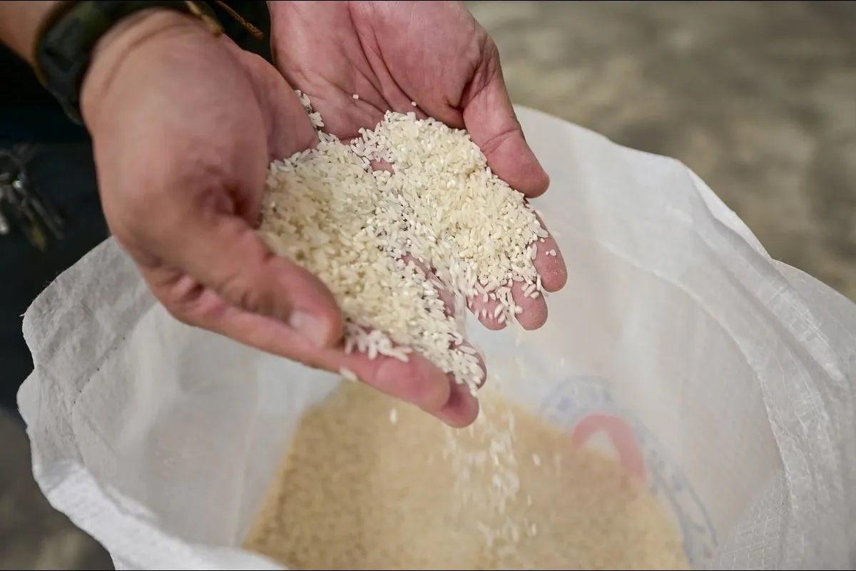 P20 per kilo rice for minimum wage earners launched | ABS-CBN News