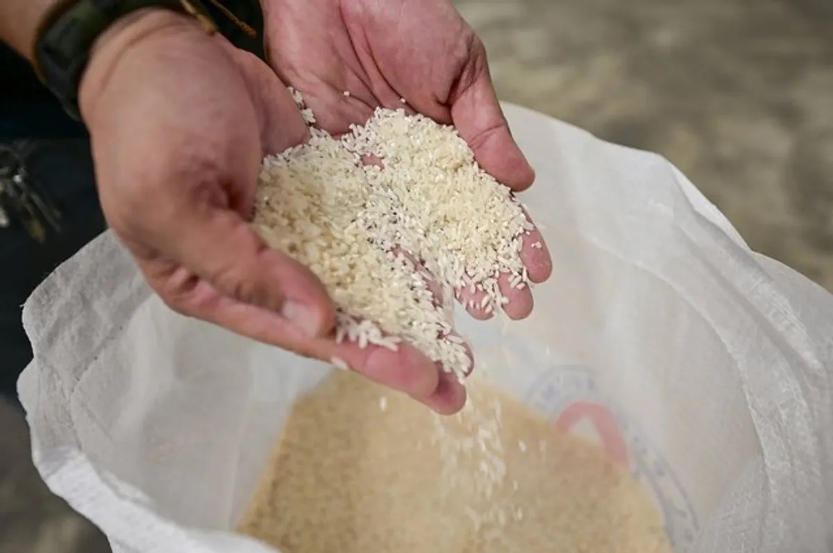 P20 per kilo rice for minimum wage earners launched | ABS-CBN News