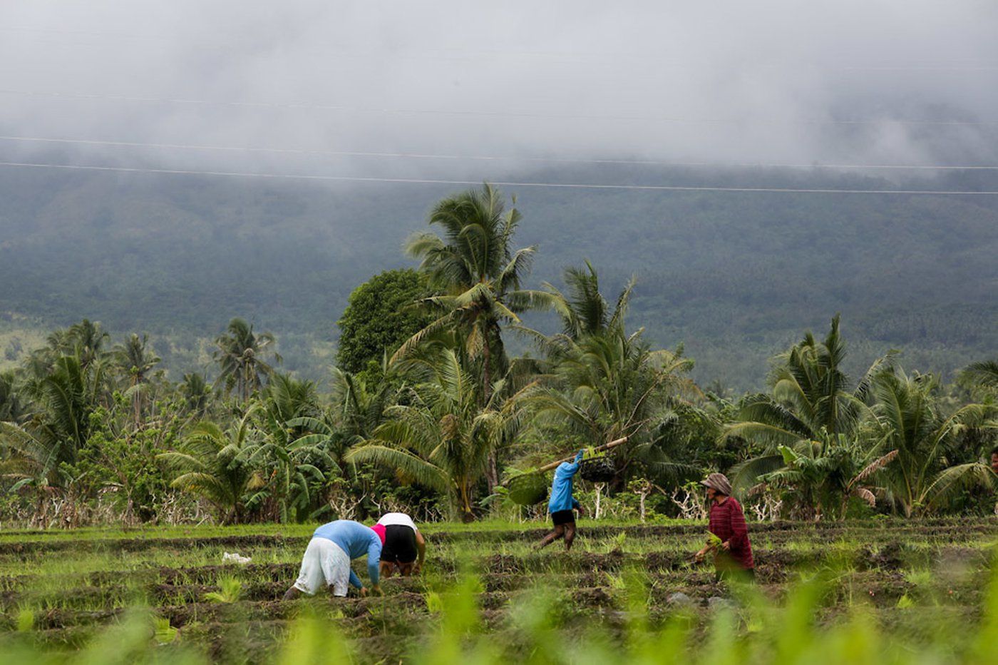 NFA says it has enough quality rice buffer stock for calamities | ABS ...
