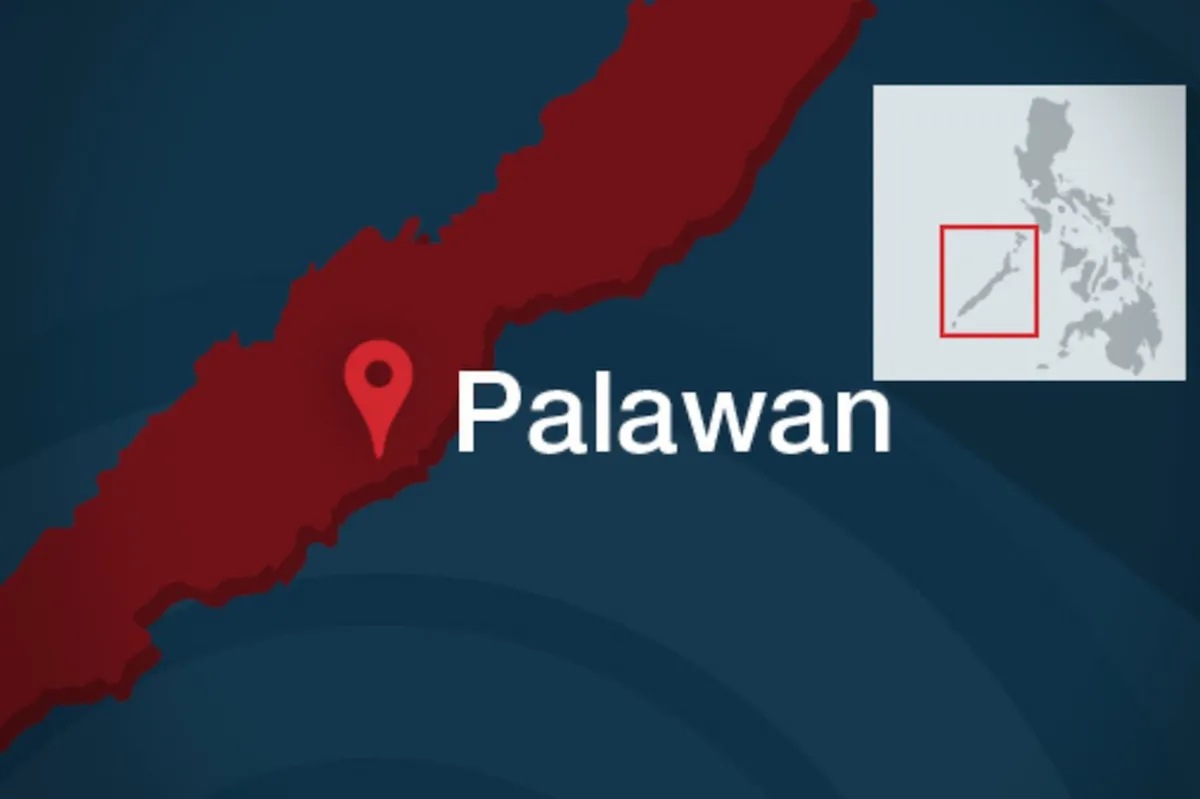 Philippines biodiversity hotspot pushes back on mining | ABS-CBN News