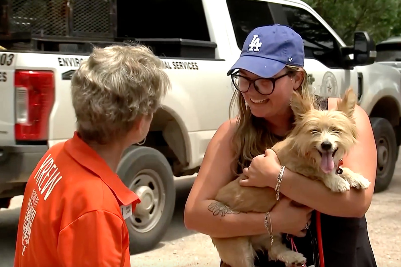 Texas animal rescue group takes in displaced pets, after fatal floods ...