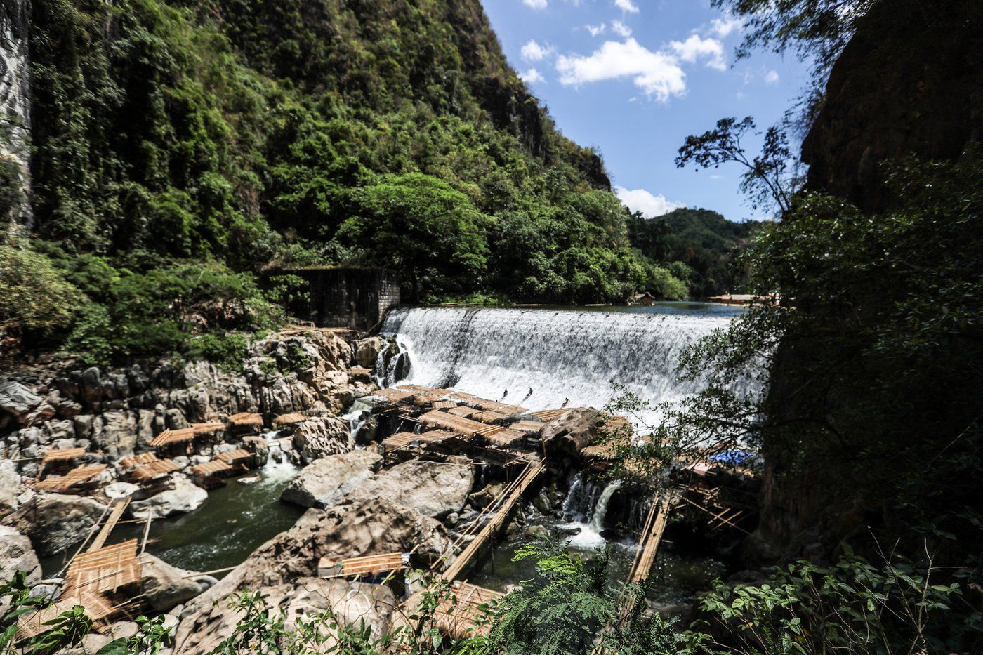 DENR to plant 3 million trees in Marikina River Basin in 3 years | ABS ...