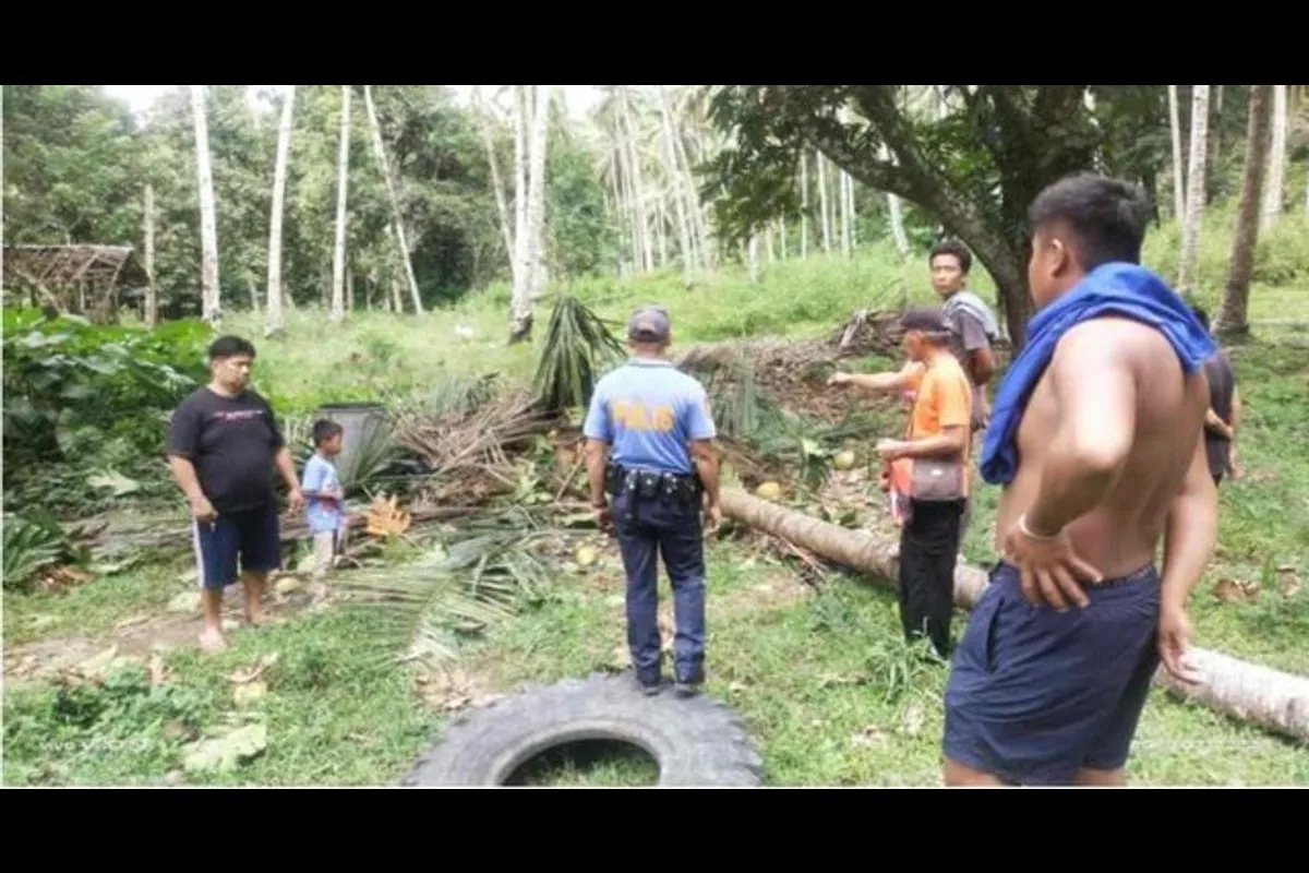 Buntis na naglalaba, aso patay nang madaganan ng puno sa Davao ...