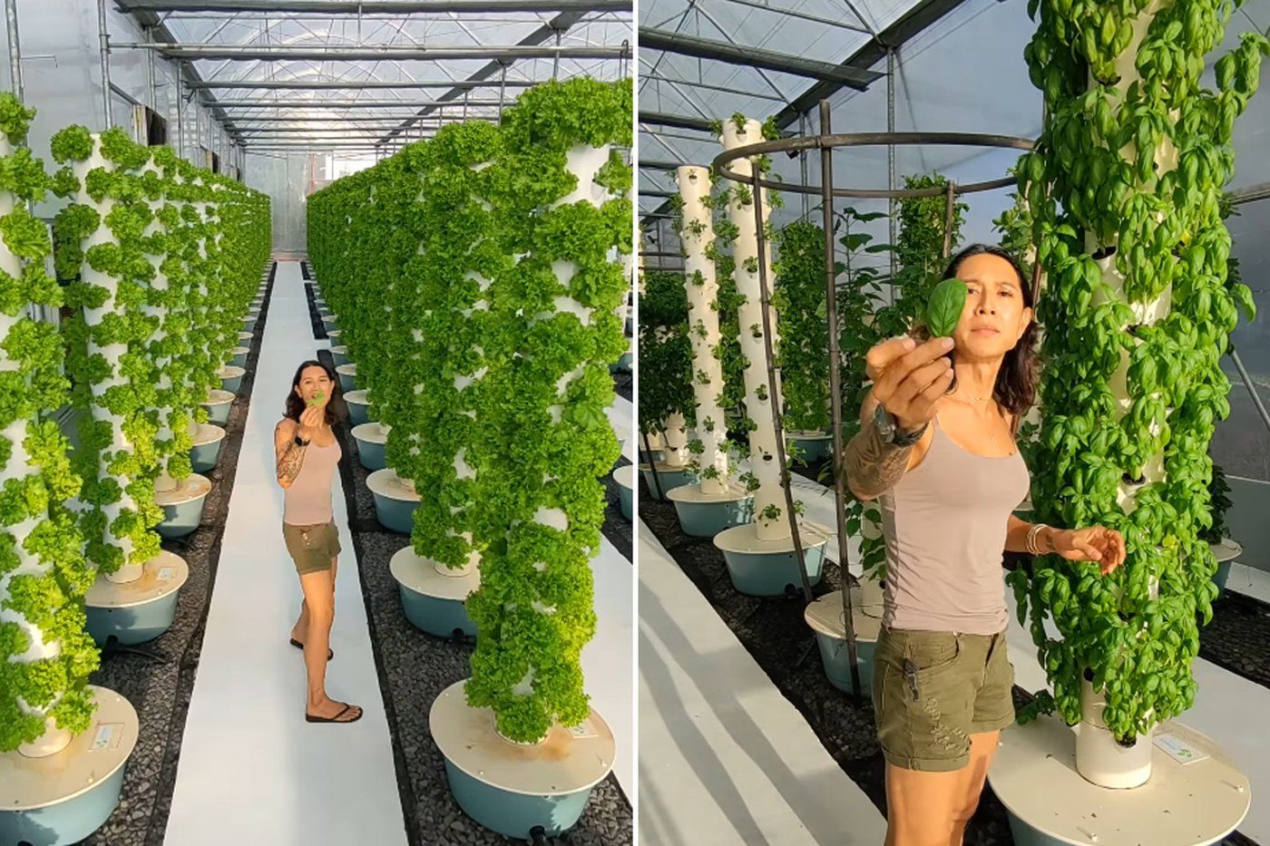 Angie Mead King shares her journey into sustainable farming | ABS-CBN ...