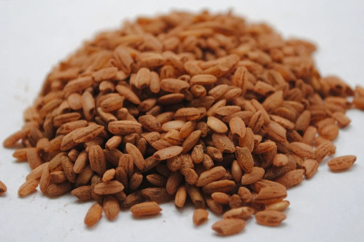 Adlai, brown rice: Which rice variety is good for diabetics? | ABS-CBN News