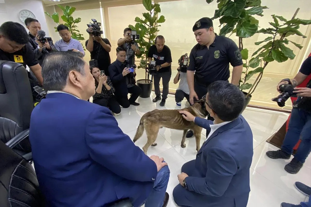 Thin police dog in viral post is fine, just going through transition ...