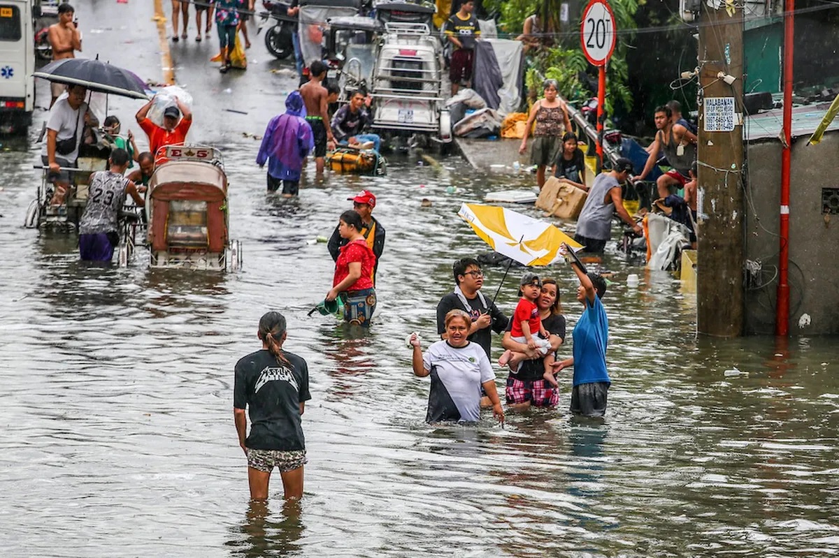 'Vindication': No senators linked to 15 contractors in questionable ...