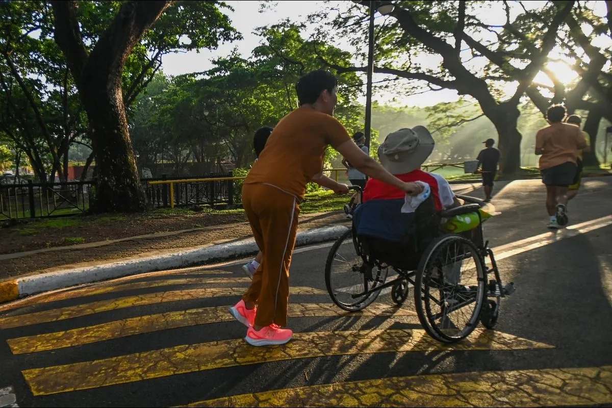 DSWD to roll out new identification cards for PWDs to combat ...