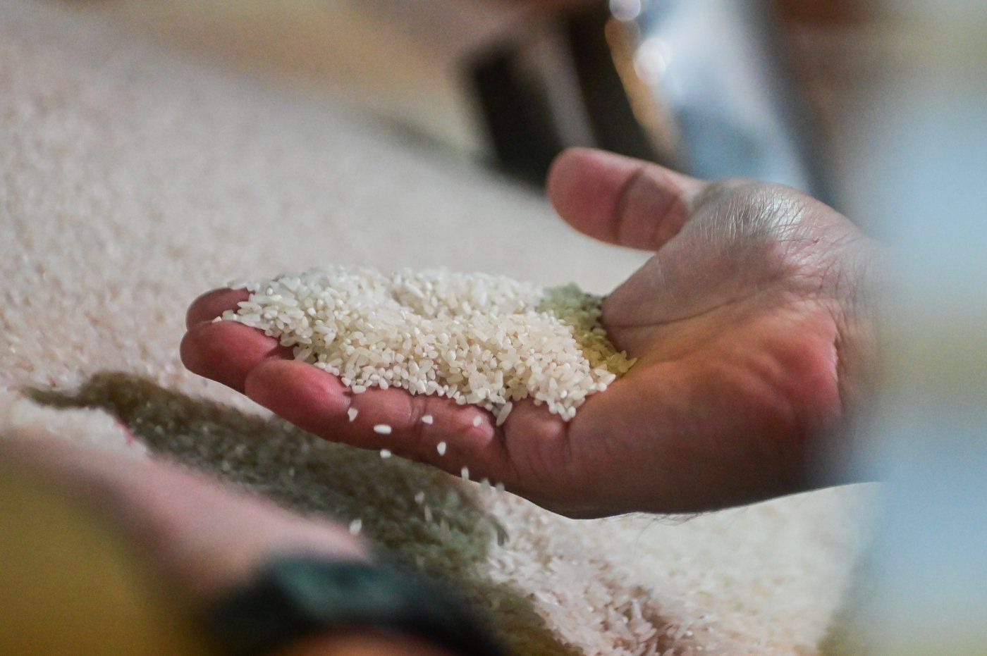 P20/kilo rice program expands to four areas | ABS-CBN News
