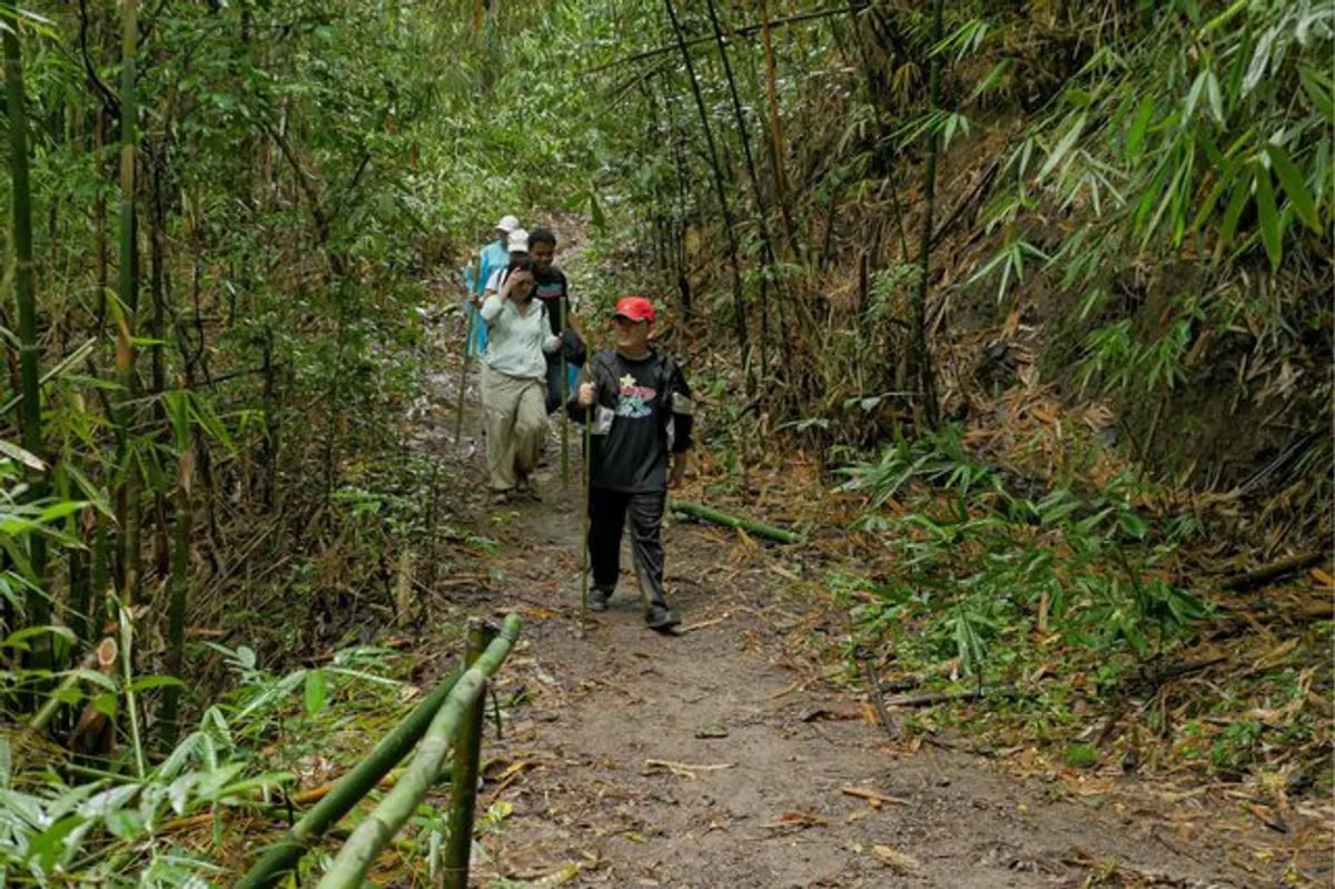 Maynilad, volunteers plant 400 seedlings at Ipo Dam | ABS-CBN News