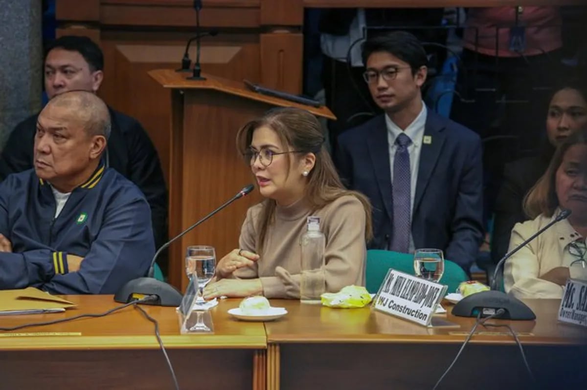 Contractor in Senate CCTV visited Erwin Tulfo office | ABS-CBN News