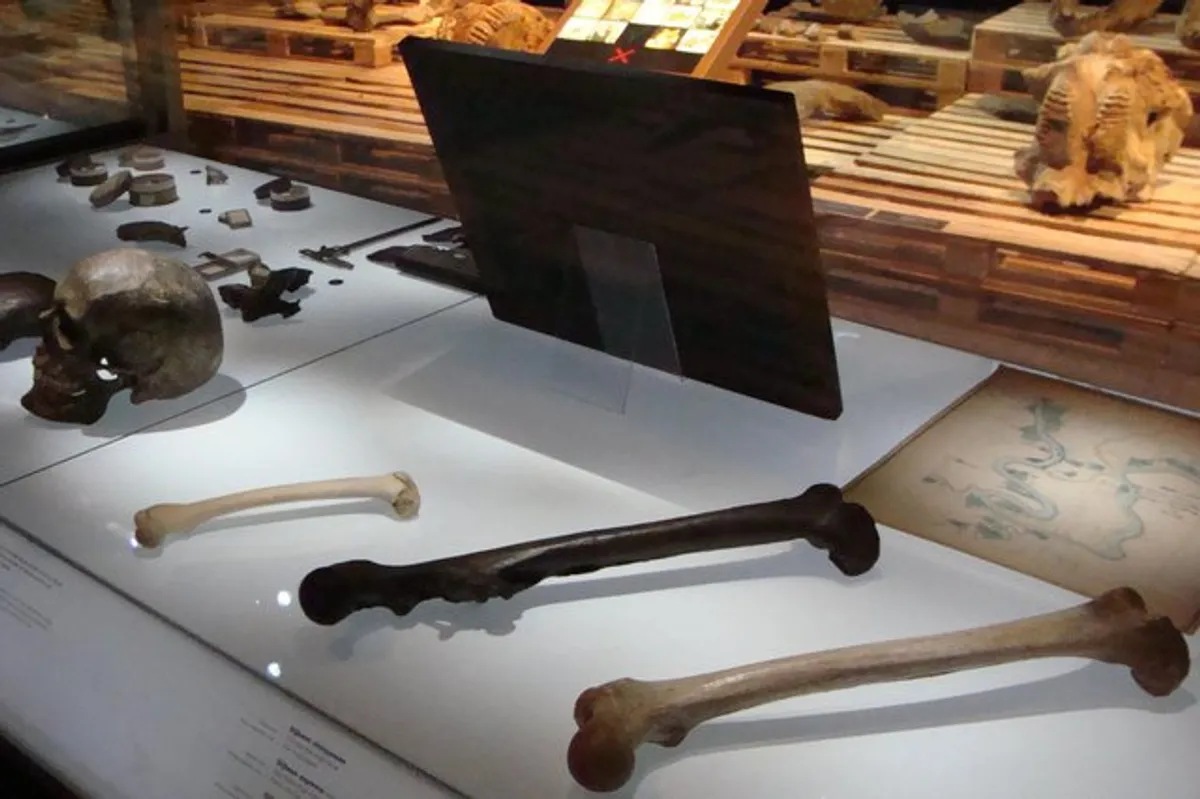 Netherlands to return 'Java Man' fossils to Indonesia | ABS-CBN News