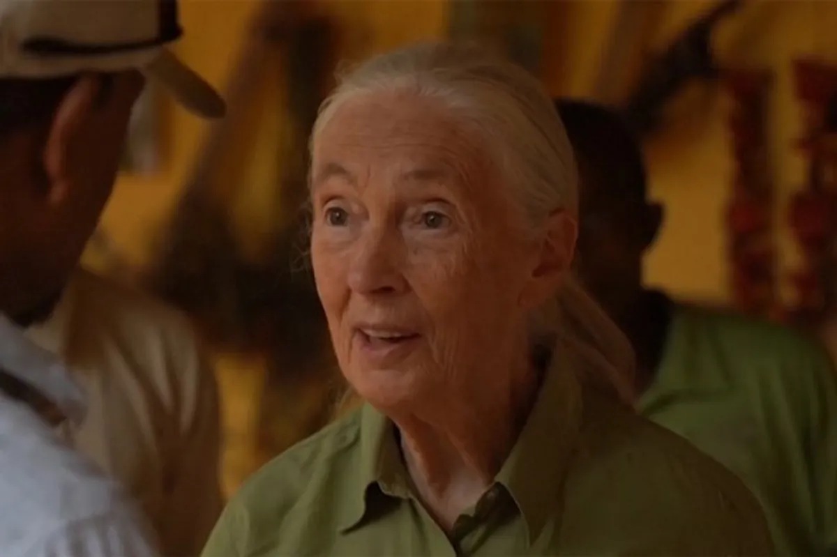 Wildlife advocate, primate expert Jane Goodall dies at 91 | ABS-CBN News