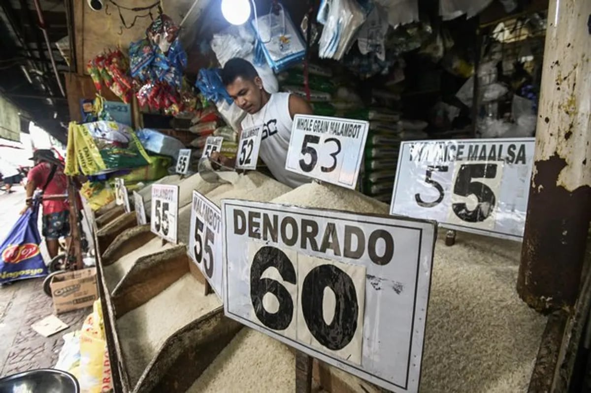 Philippines' 'Denorado' wins silver in World's Best Rice 2025 Awards ...