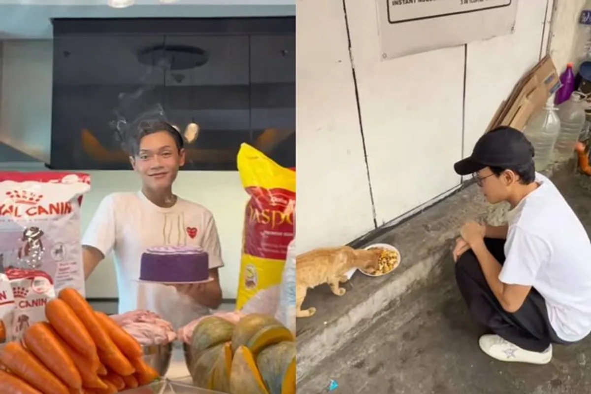 Esnyr celebrates 24th birthday by feeding street cats and dogs | ABS ...