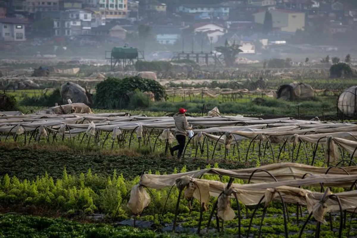 La Trinidad chills at 12.1°C, coldest so far this Amihan | ABS-CBN News