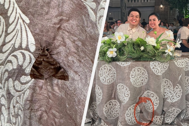 'He was there again': Leni Robredo says late husband Jesse was 'present ...