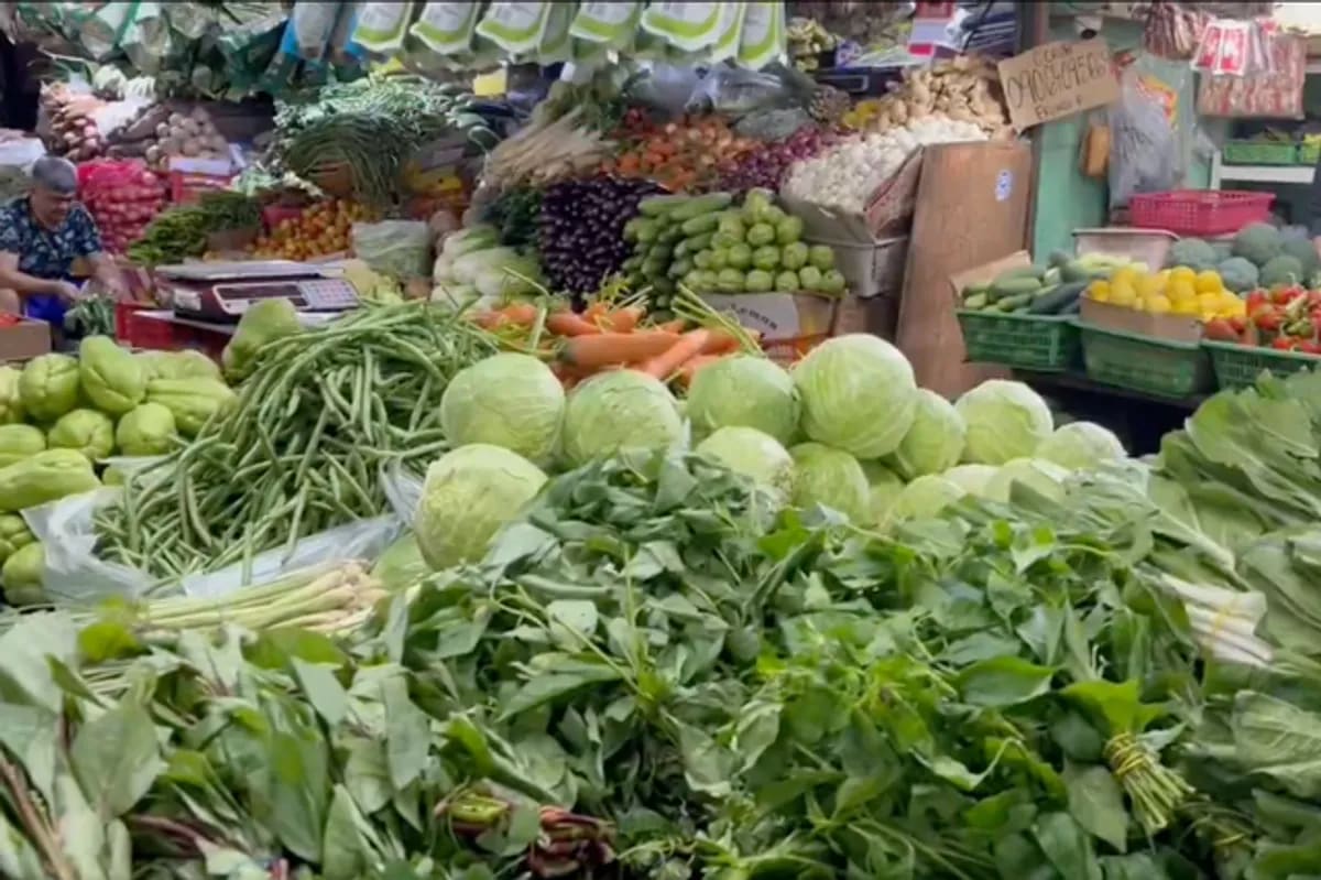 Limited supply, cold weather drive up food prices in Quezon City market ...