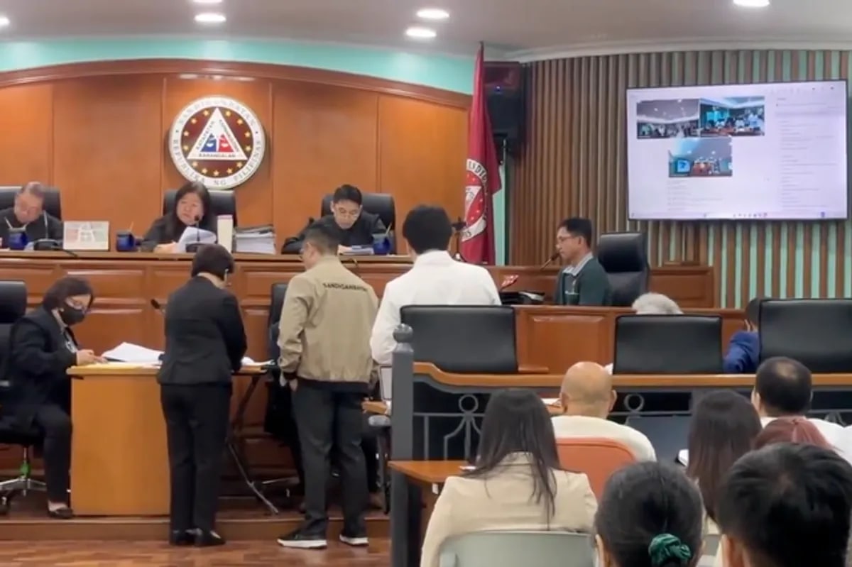 LGU official testifies on Mindoro road dike observations in bail ...