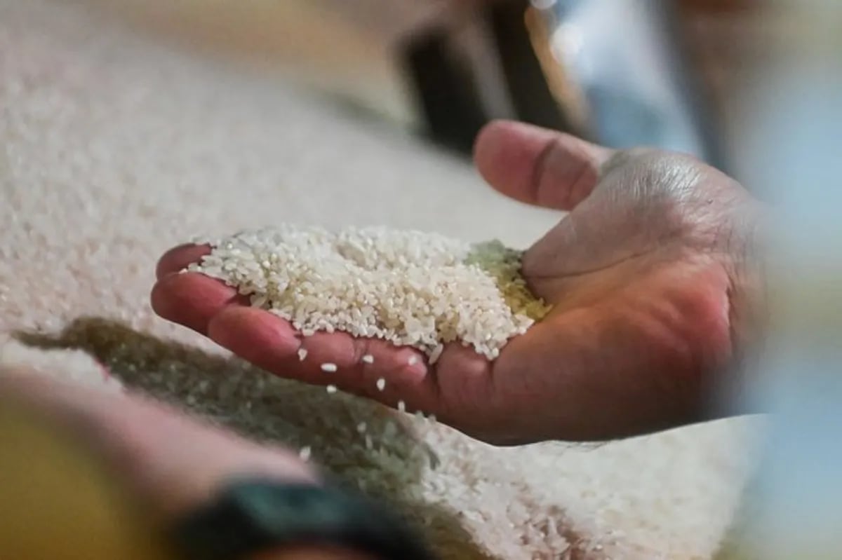 DA assures public there's no rice shortage | ABS-CBN News