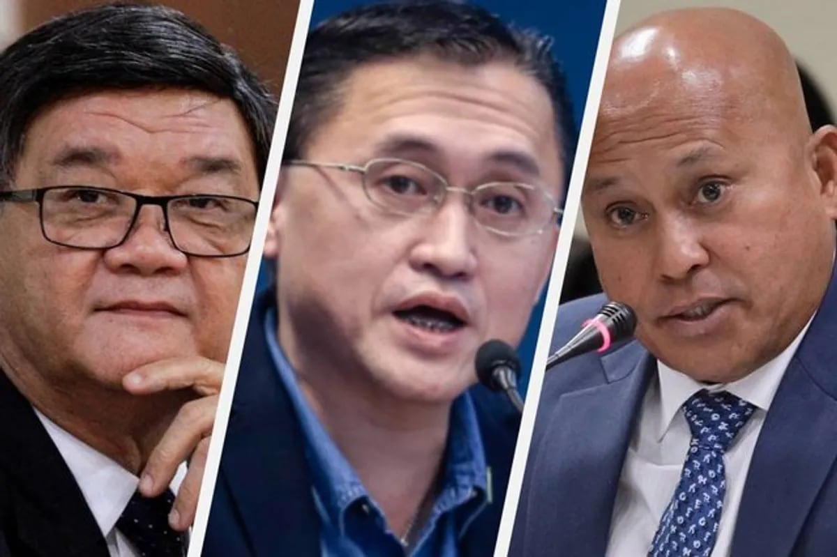 Why Vitaliano Aguirre, Bong Go were named 'co-perpetrators' in ICC case ...