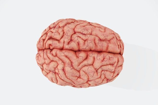 Life with AI causing human brain 'fry' | ABS-CBN News