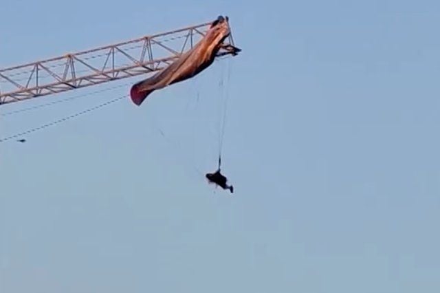 Paraglider left dangling after getting caught in tower crane in China's ...